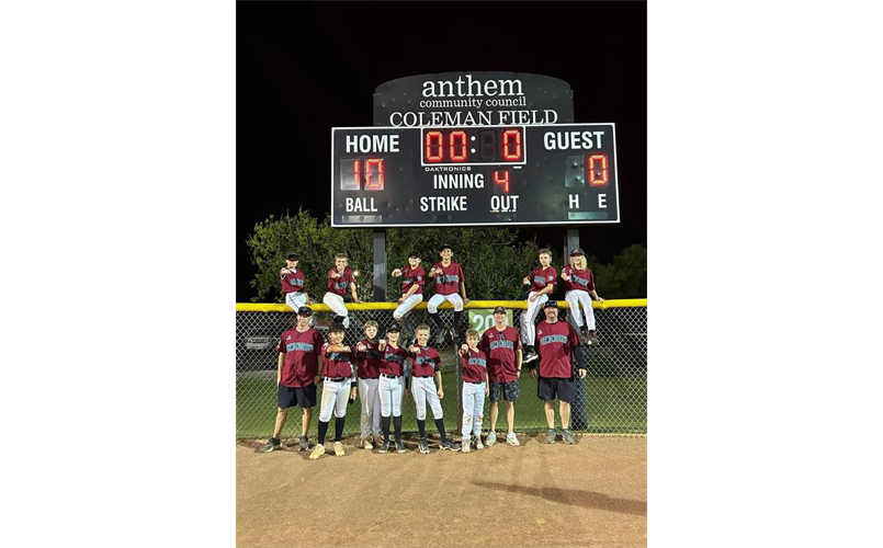 Home [www.highdesertlittleleague.com]