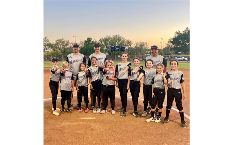 Home [www.highdesertlittleleague.com]